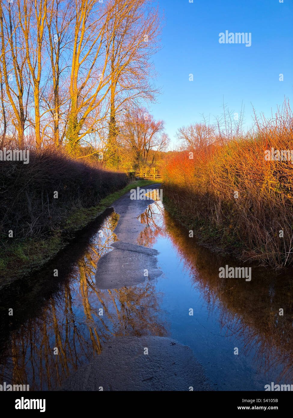 Flooded lane, late afternoon winter sunlight after heavy rainfall, East ...