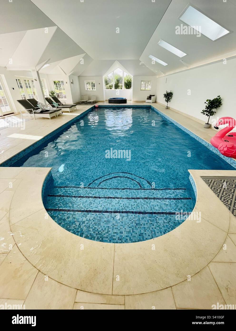 Pool flamingo hi-res stock photography and images - Alamy