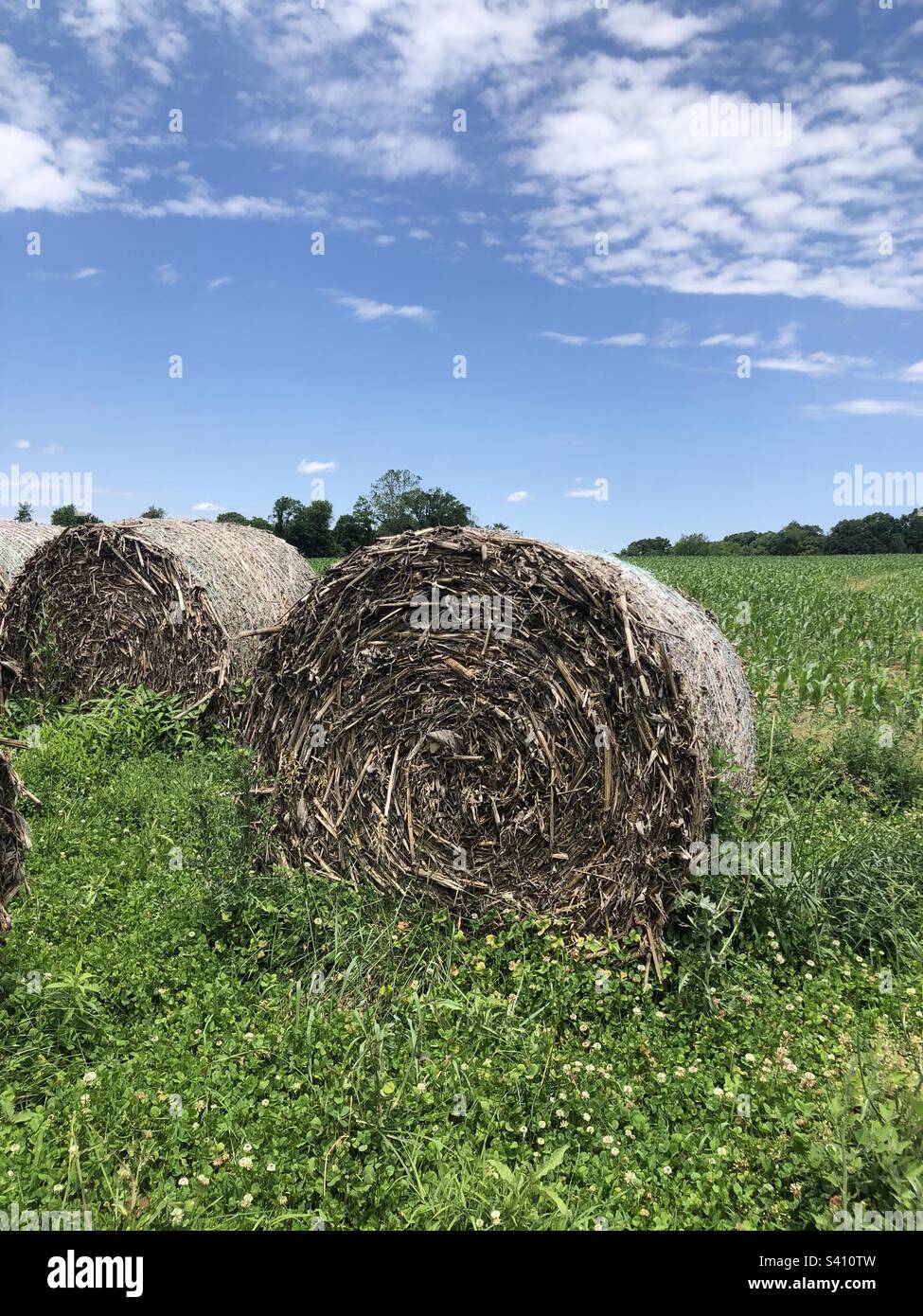 Virginia countryside hi-res stock photography and images - Alamy