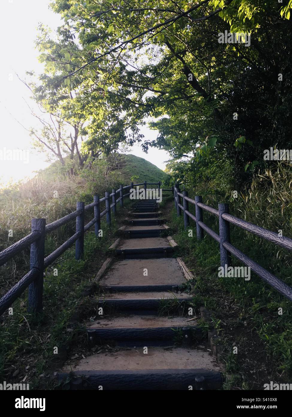 Low incline stairs leading up to a hill in the late afternoon Stock ...