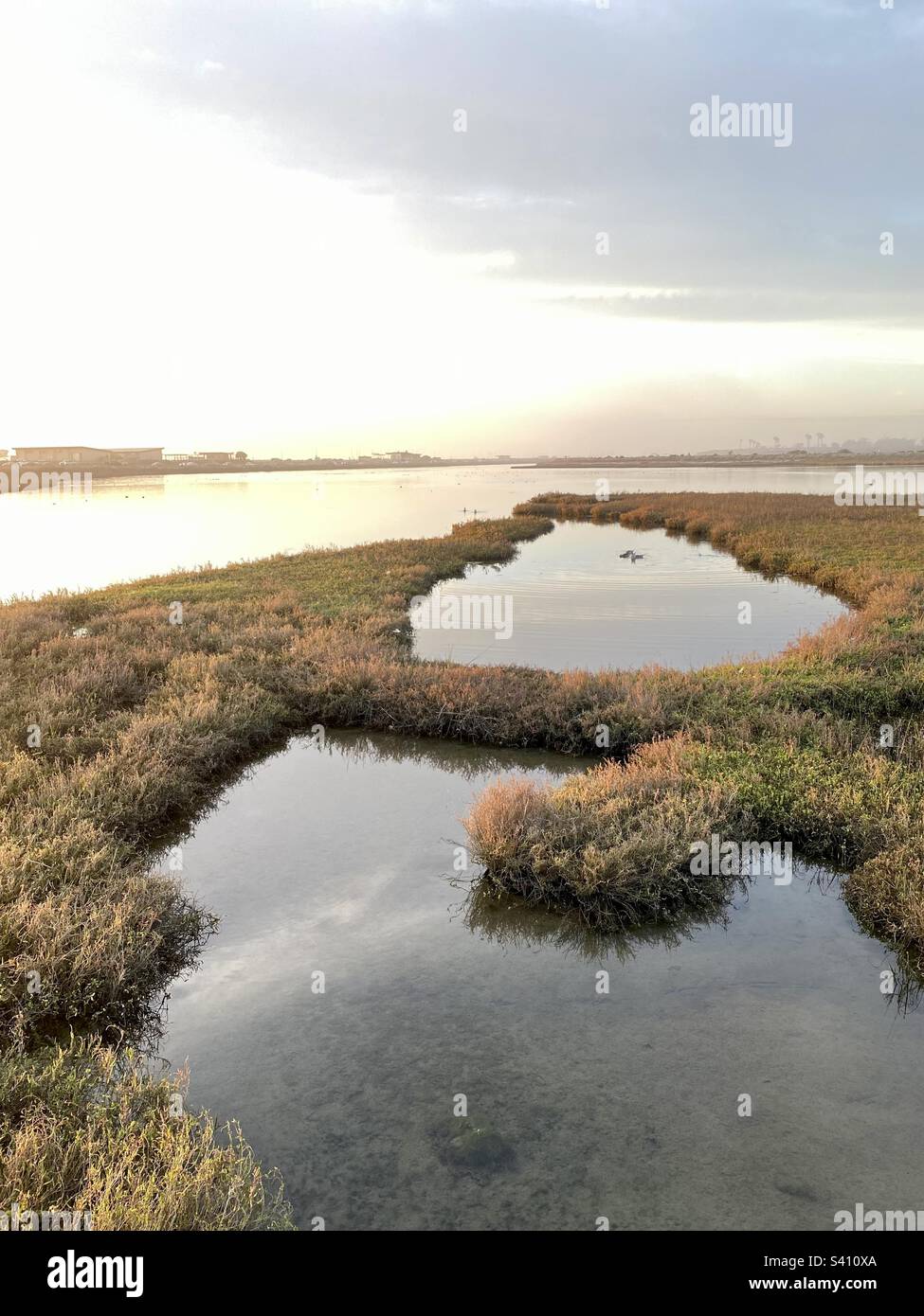 Bird habitat hi-res stock photography and images - Alamy