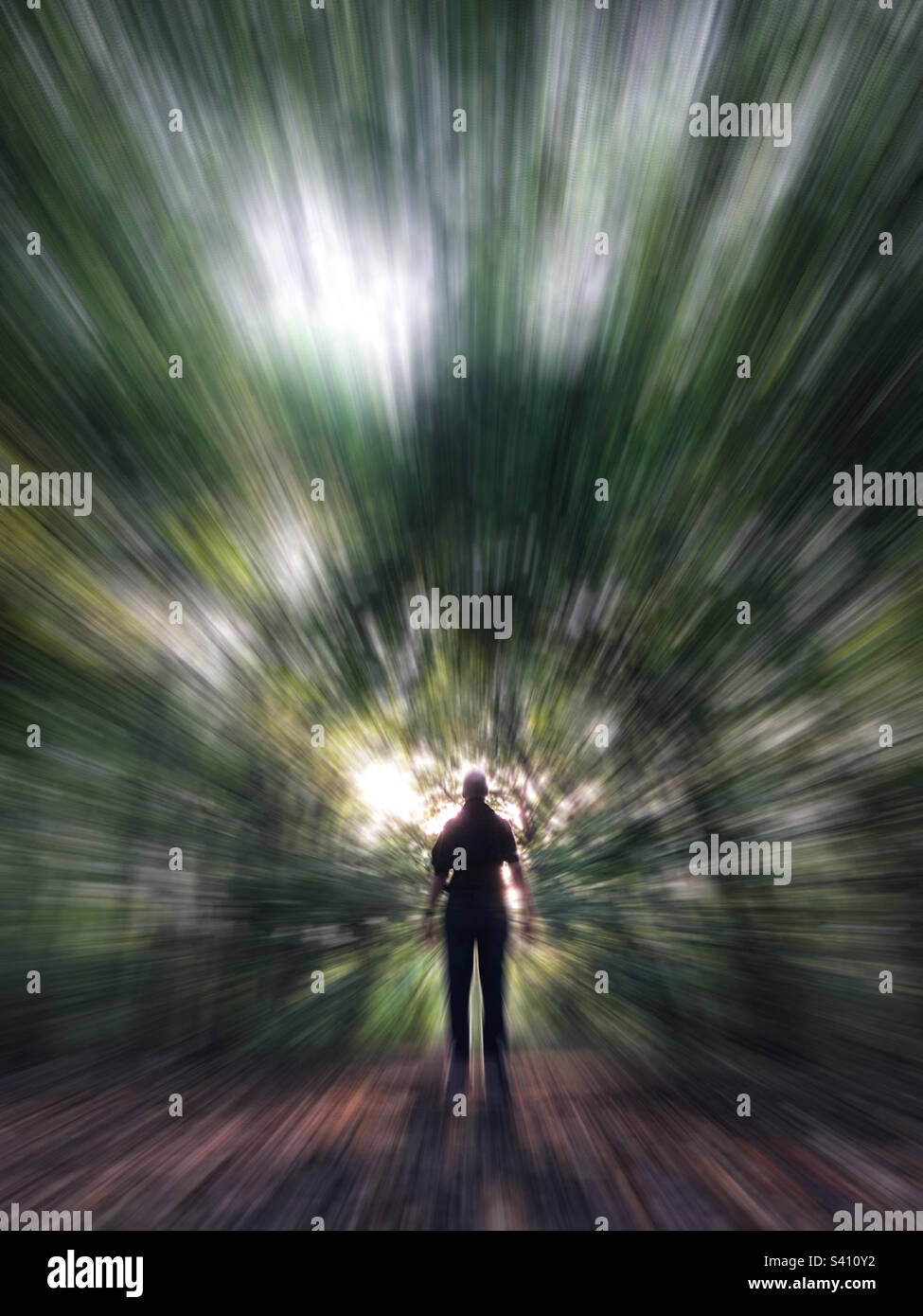 Man stood in the woods with a blur filter Stock Photo - Alamy