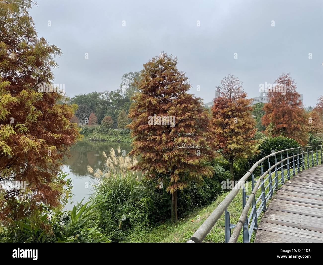 Taiwan winter hi-res stock photography and images - Alamy