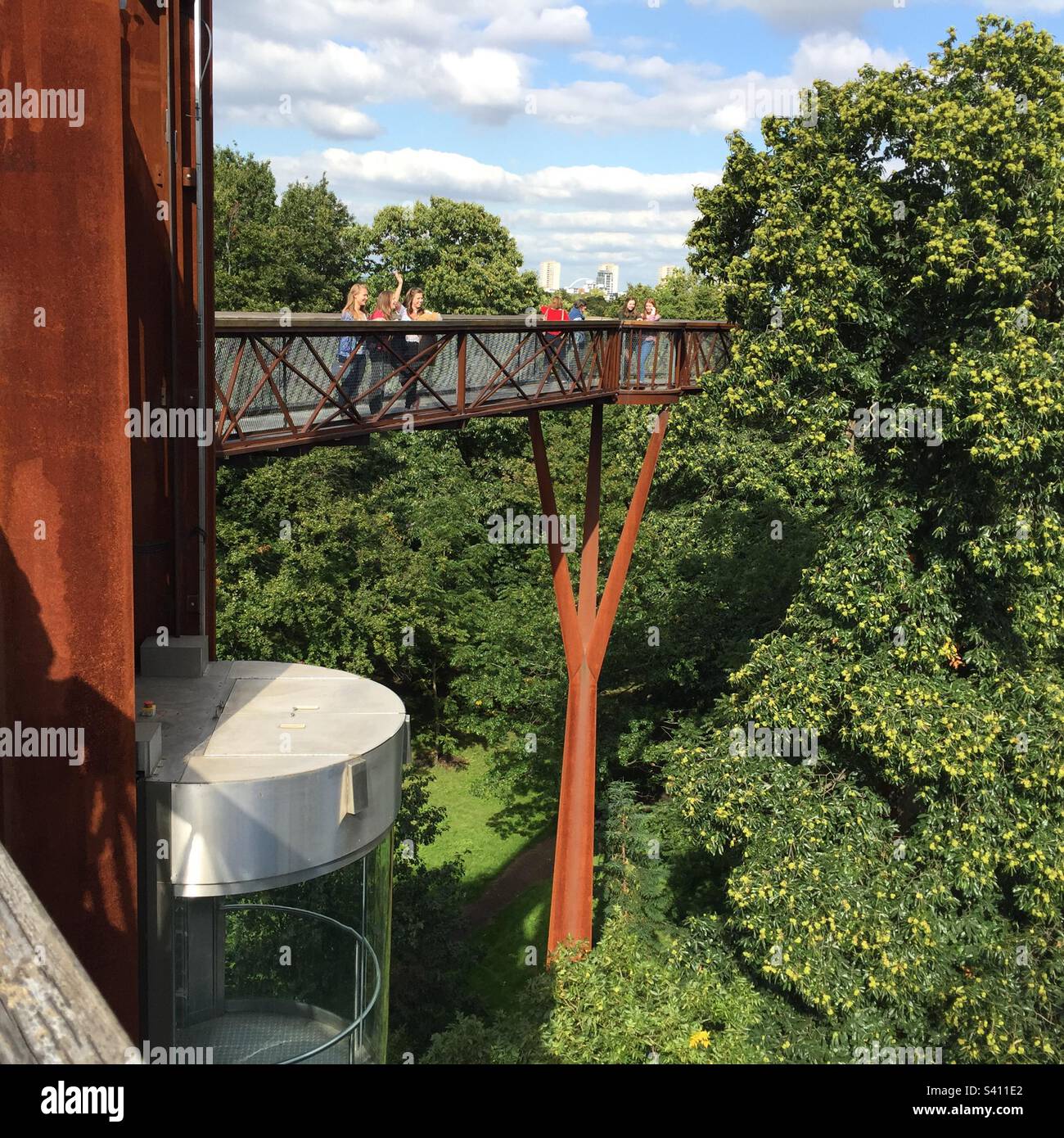 Treetop walkway hi-res stock photography and images - Alamy
