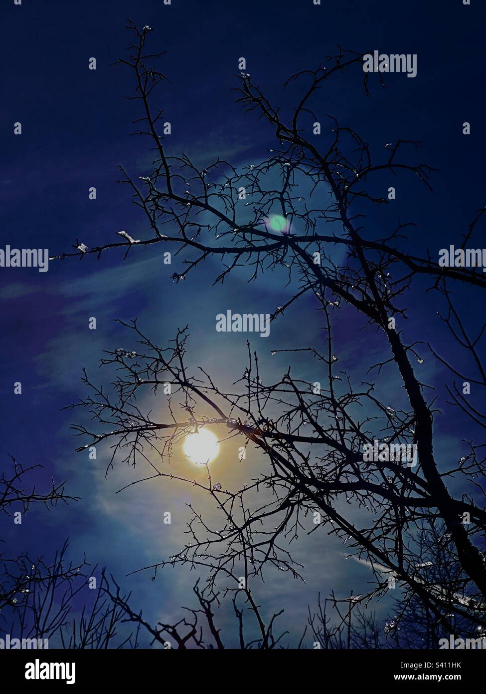 Sweating tree hi-res stock photography and images - Alamy