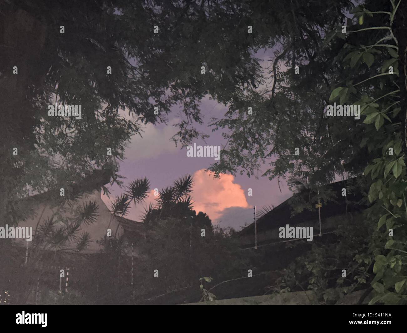 Cloud and tree hi-res stock photography and images - Alamy