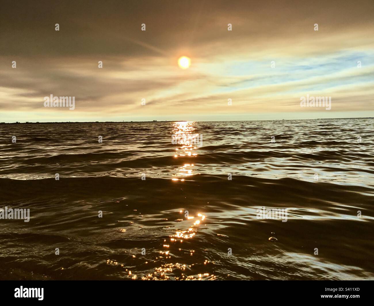 The paean sprinkle with gold Stock Photo - Alamy