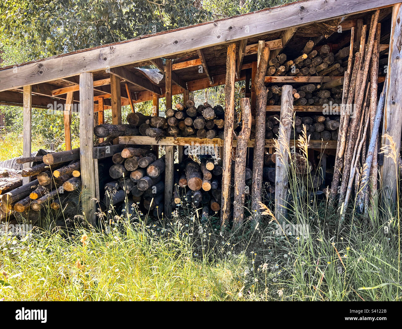 Summer in montana hi-res stock photography and images - Alamy