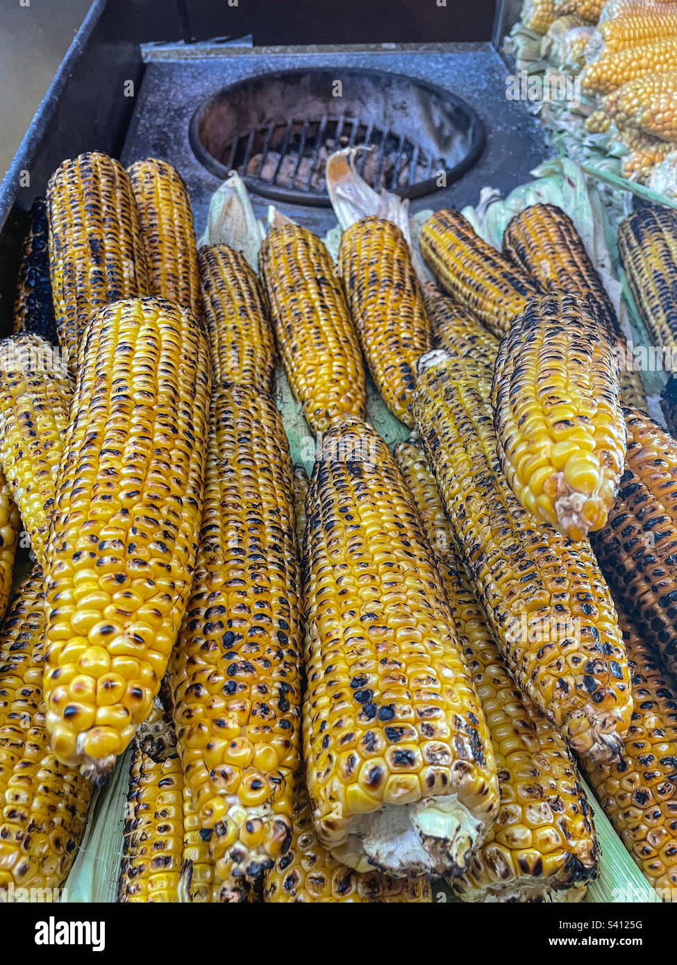 Close-up of a street food tray with roasted sweet corn cobs with burnt ...