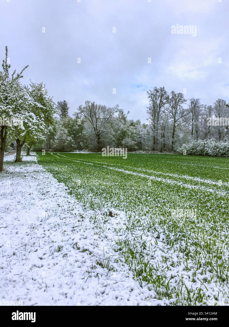 Snow winter field hi-res stock photography and images - Alamy