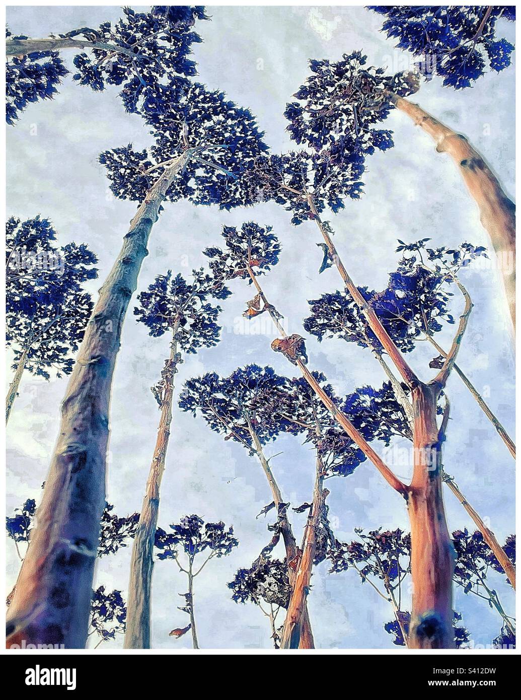 A different perspective Stock Photo - Alamy