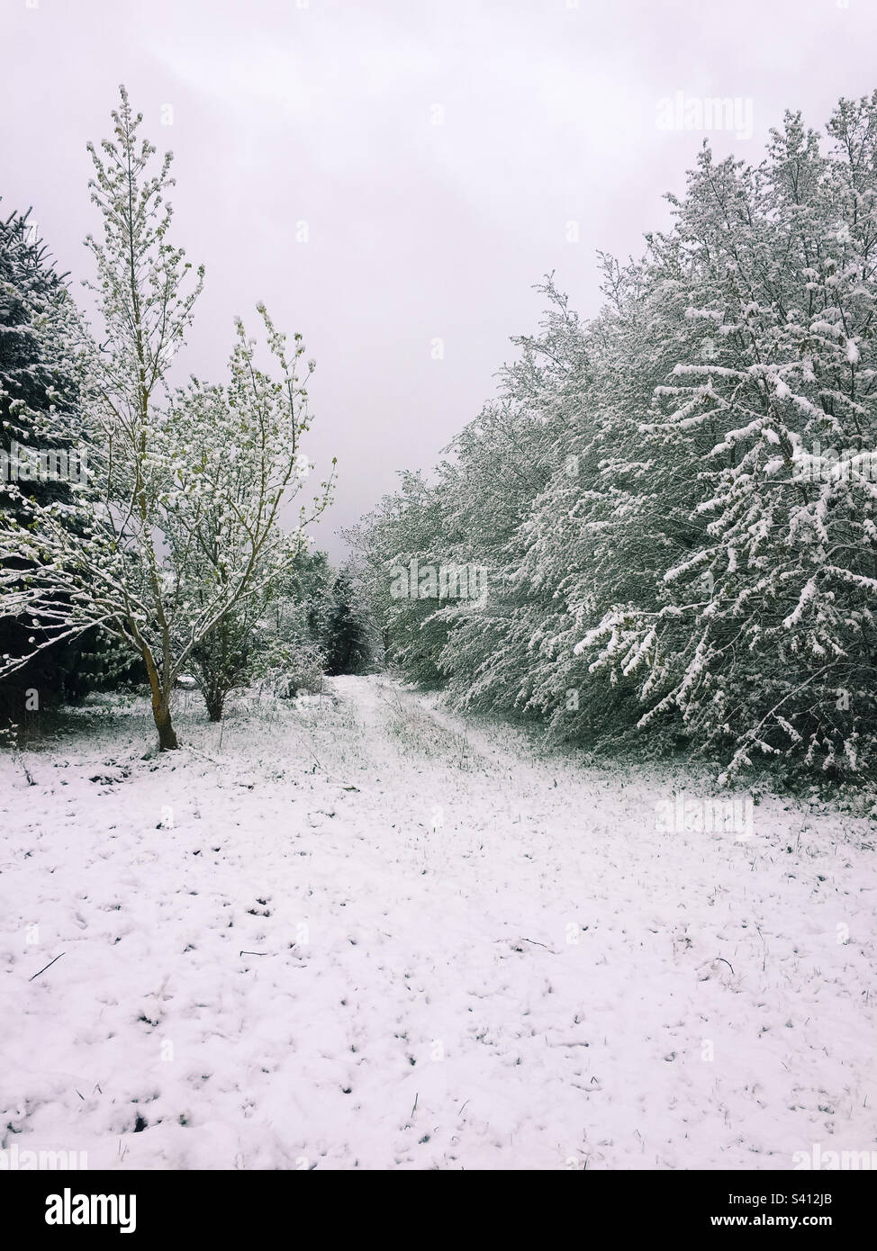 Covered footpath hi-res stock photography and images - Alamy