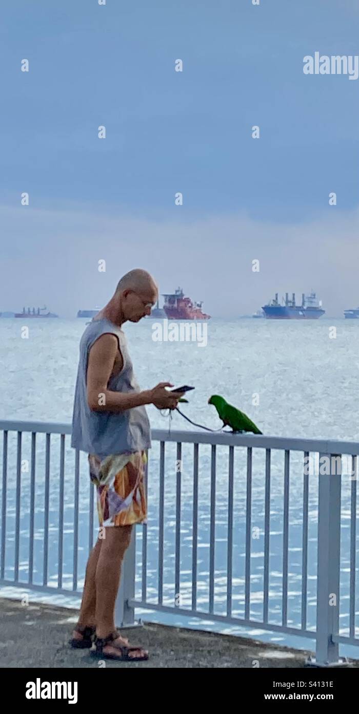 Pet parrot hi-res stock photography and images - Alamy