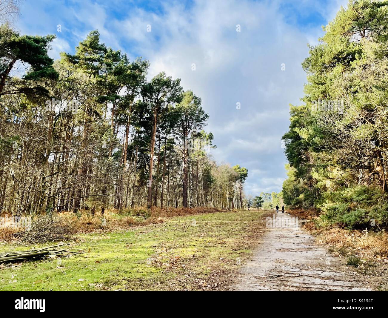 Public footpath Sutton Heath England Stock Photo - Alamy