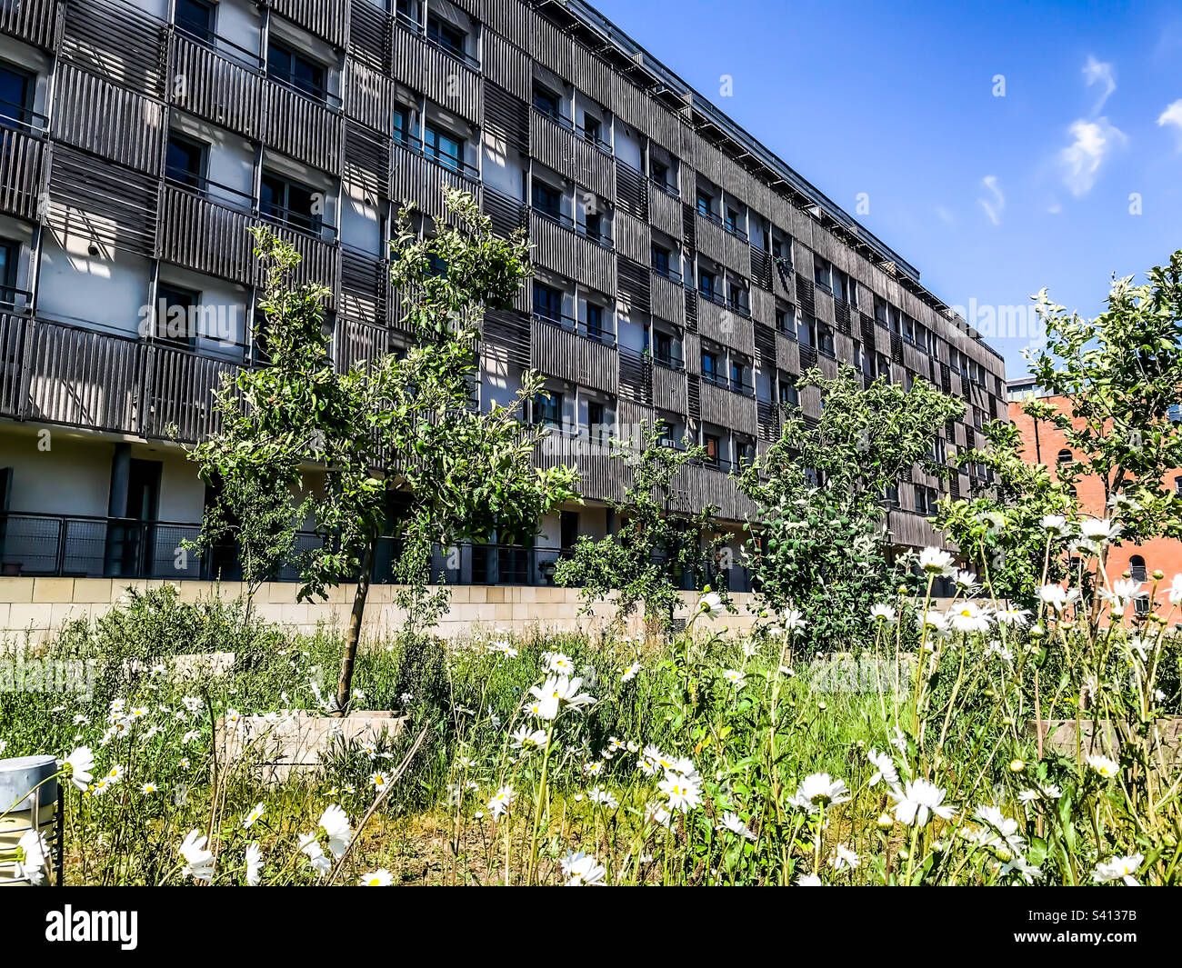 Apartment block, Ancoats, Manchester Stock Photo - Alamy