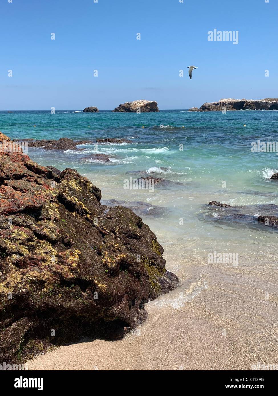 Marieta island mexico hi-res stock photography and images - Alamy
