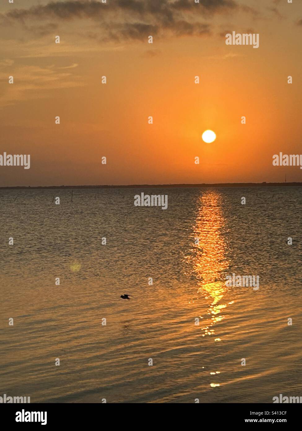Beach sunset ocean waves texas hi-res stock photography and images - Alamy
