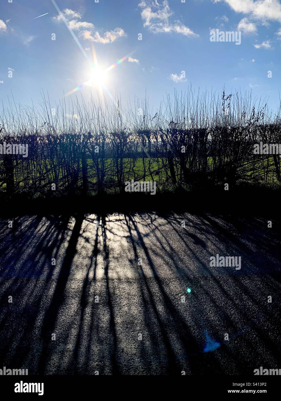 Hedge and road hi-res stock photography and images - Alamy