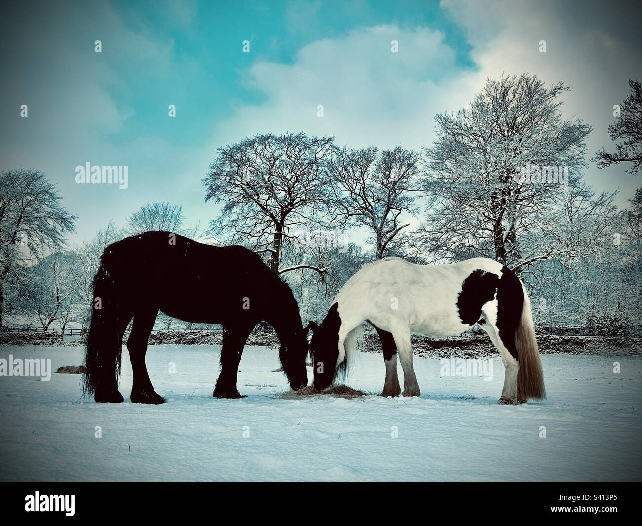 Sharing and caring caring and sharing hi-res stock photography and ...