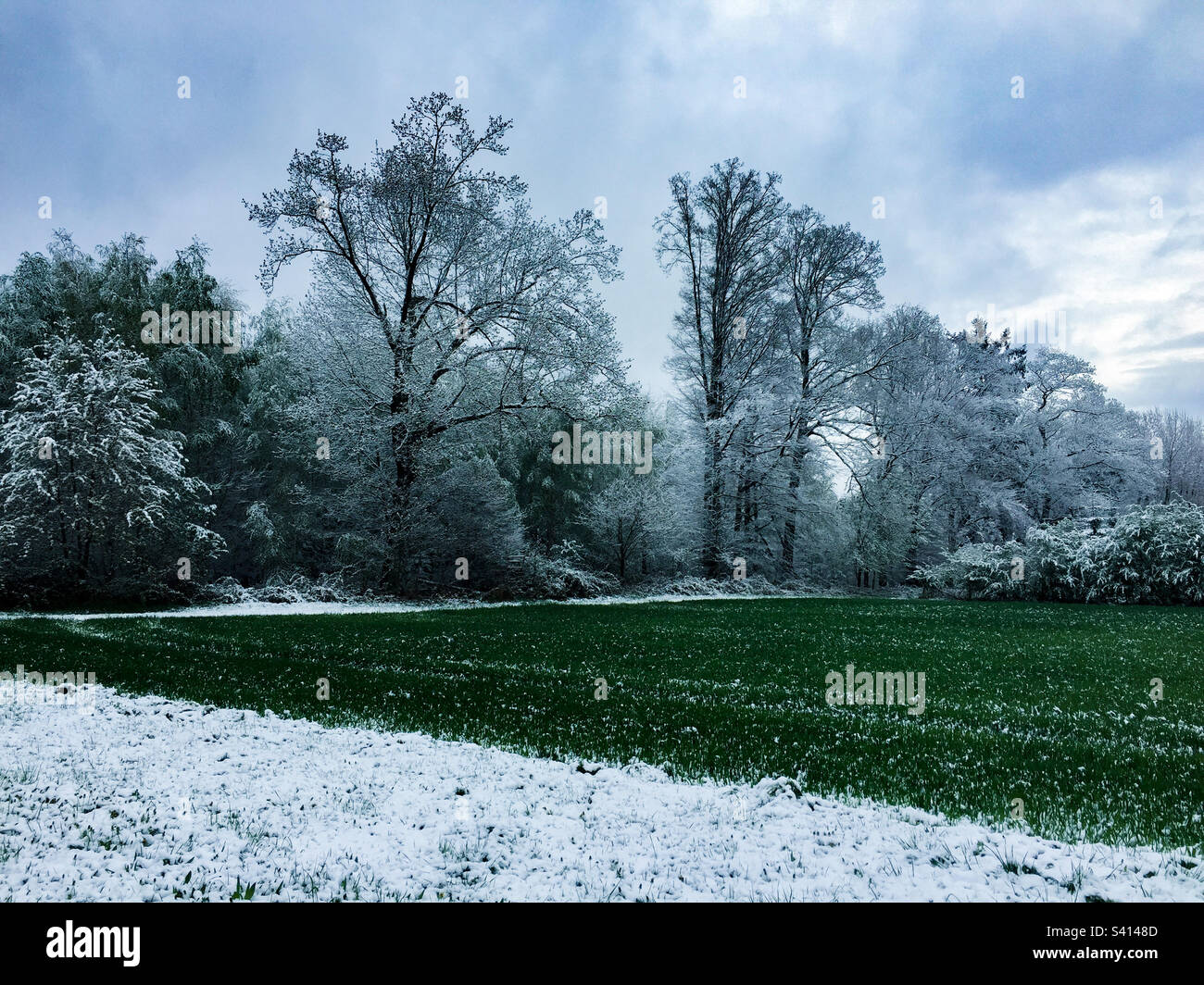 Winter landscape with agricultural fields Stock Photo - Alamy