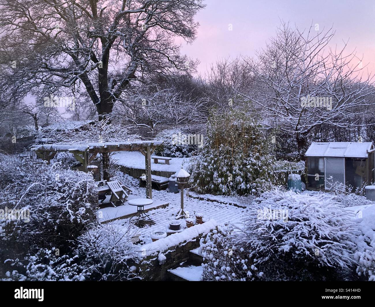 Snow covered garden at sunrise in winter Stock Photo - Alamy