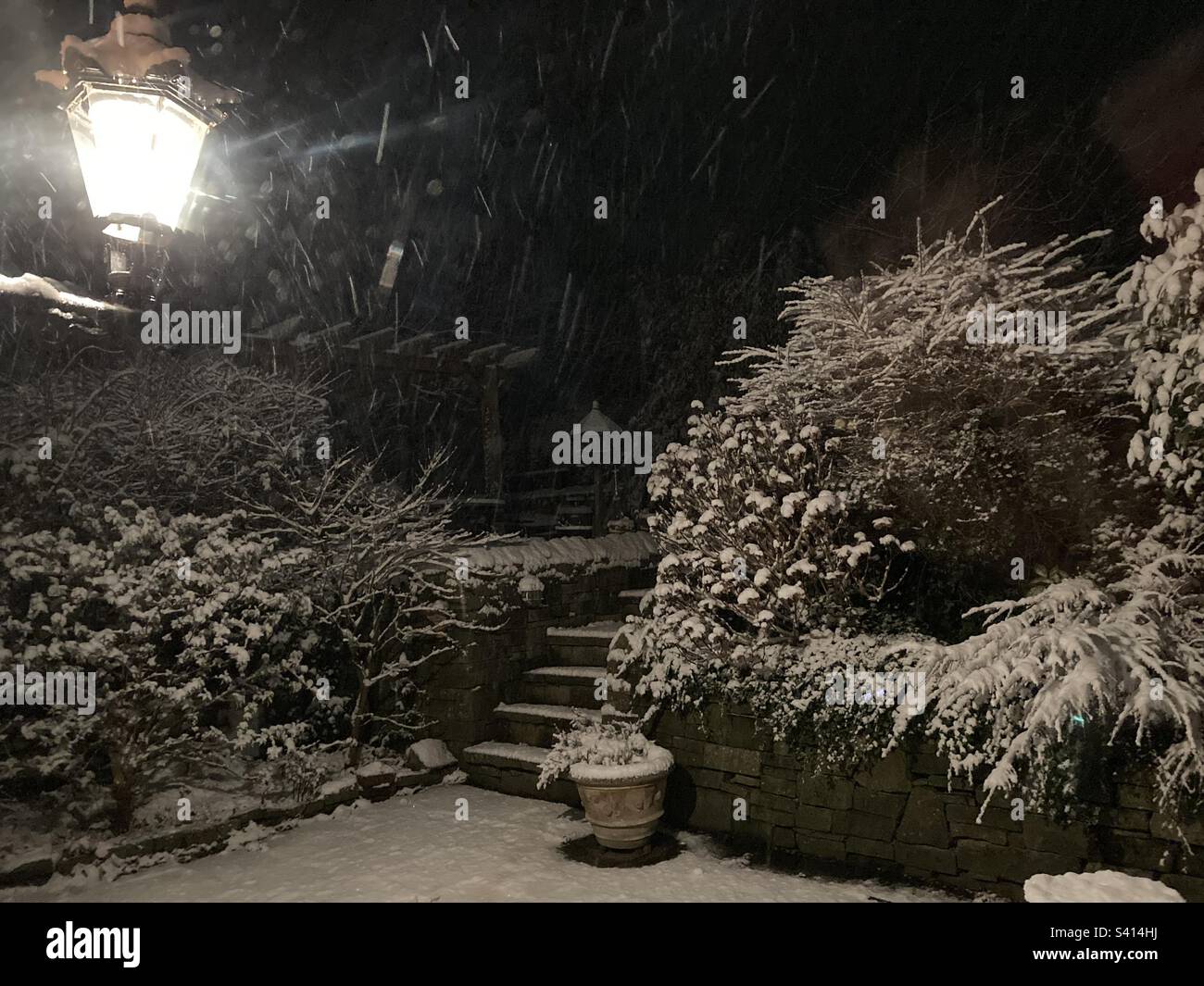 Snow falling at night in a garden Stock Photo - Alamy