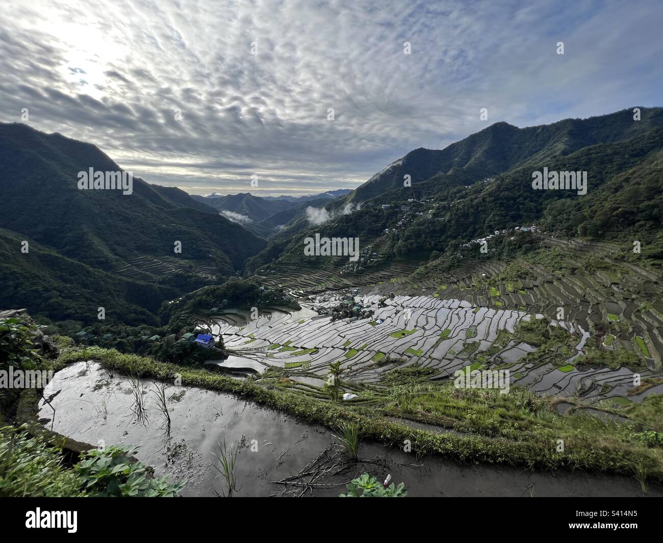 Breathtaking Batad Rice Terraces during rice planting season Stock ...