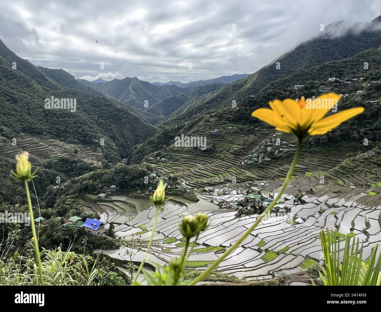 Batad rice terraces hi-res stock photography and images - Alamy