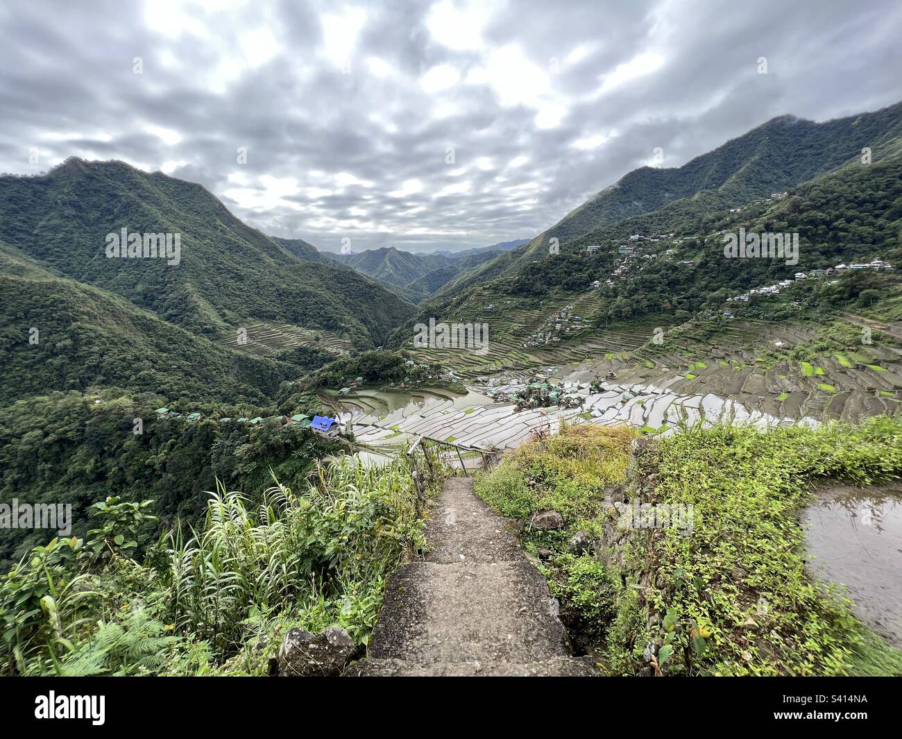 Jungle rice terraces hi-res stock photography and images - Alamy