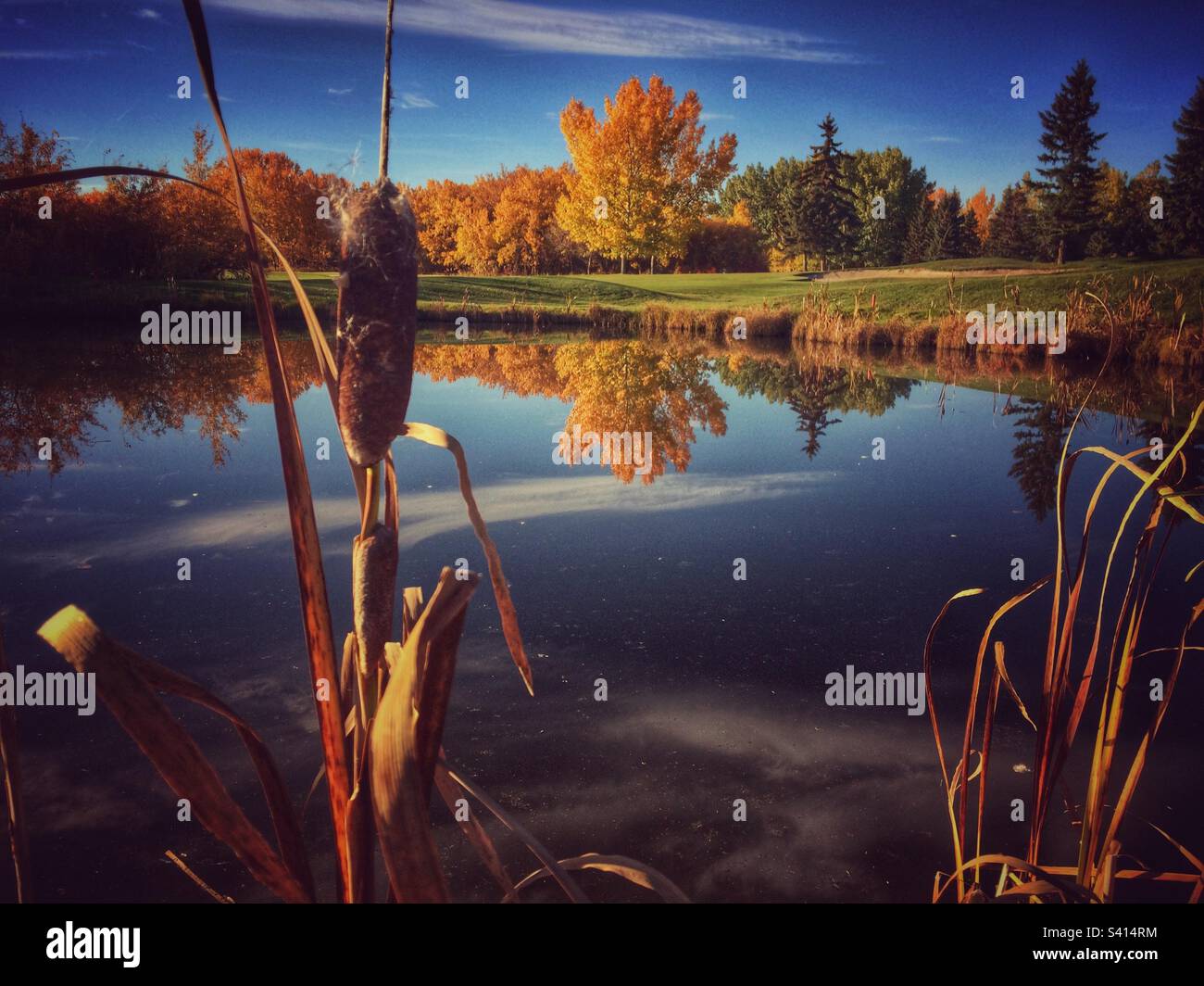 Outdoor splendor hi-res stock photography and images - Alamy