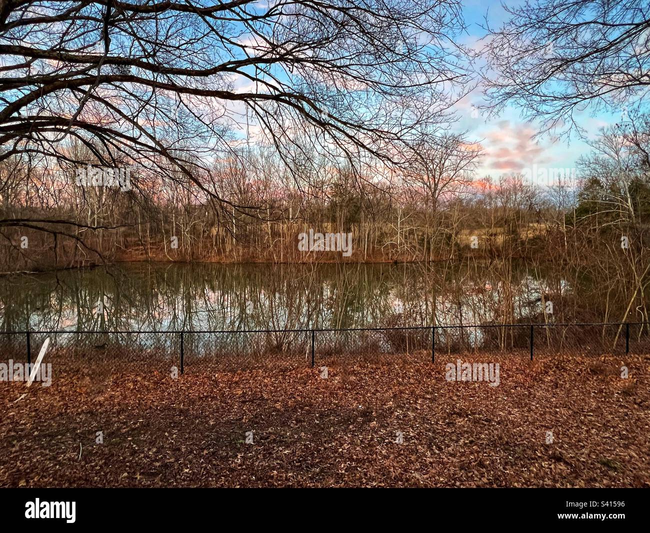 Pond country hi-res stock photography and images - Alamy