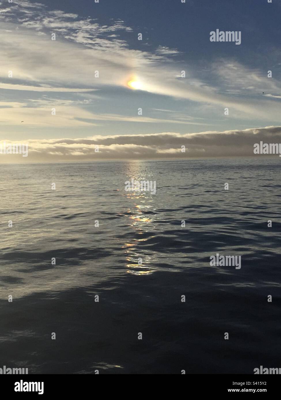 Stunner hi-res stock photography and images - Alamy