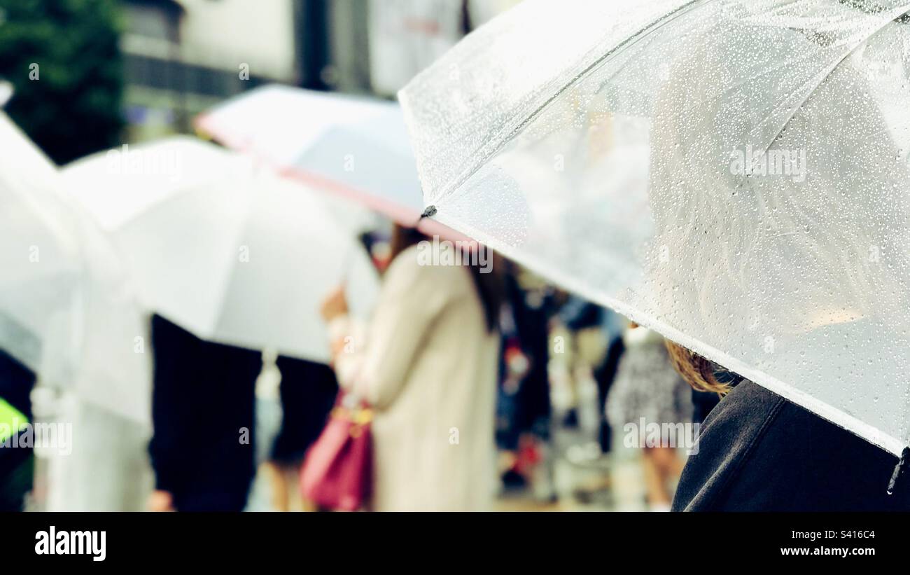 Someone using an umbrella on a rainy day in Tokyo Stock Photo - Alamy