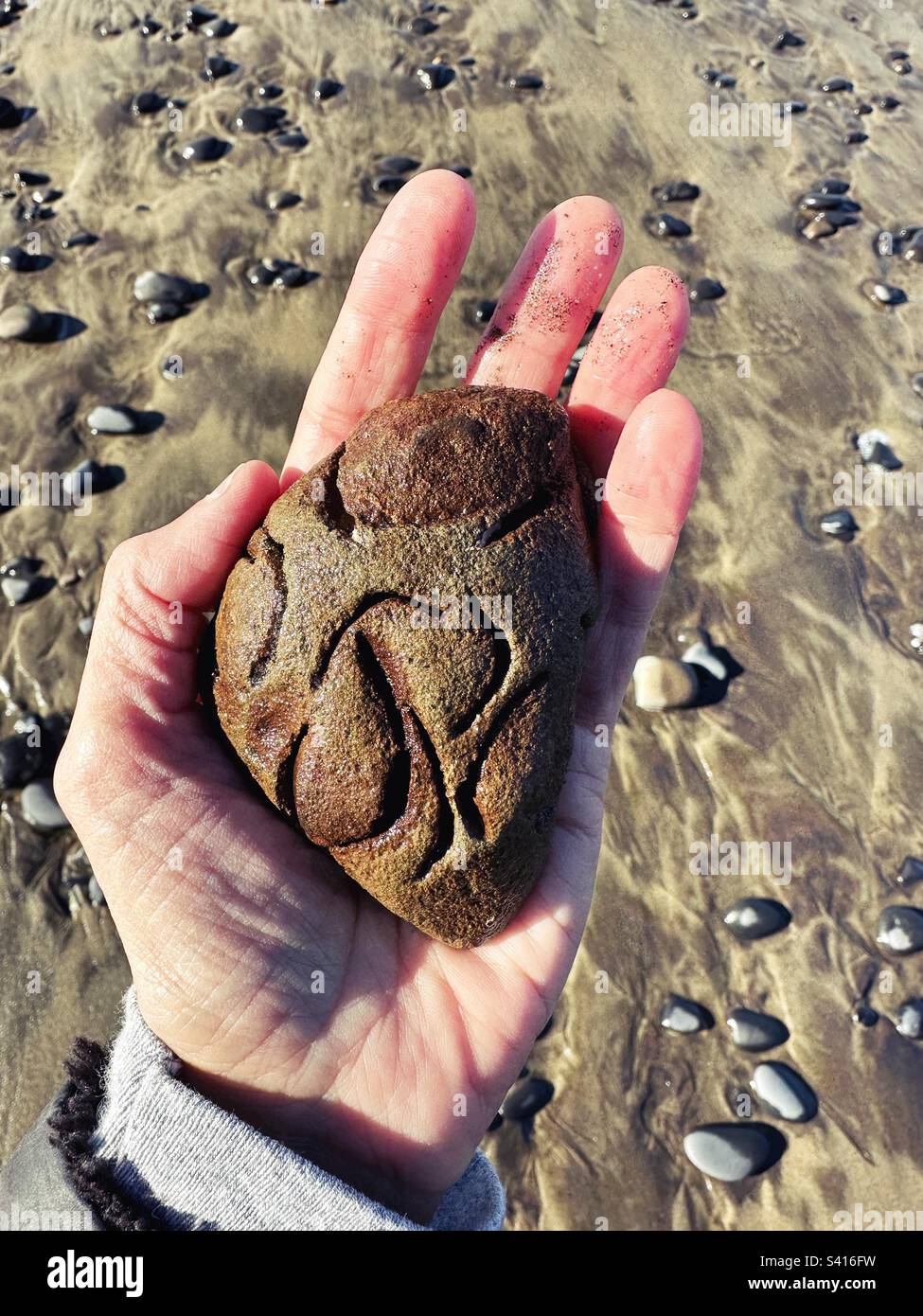 Holding a rock hi-res stock photography and images - Alamy
