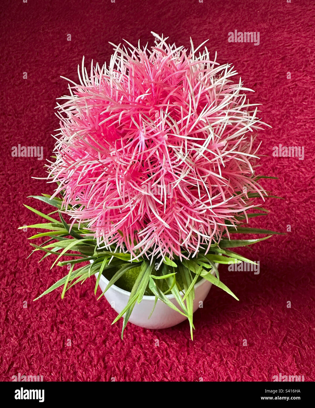 Miniature flower hi-res stock photography and images - Alamy