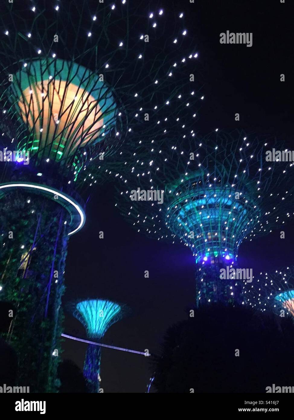 Lights on super trees branches hi-res stock photography and images - Alamy