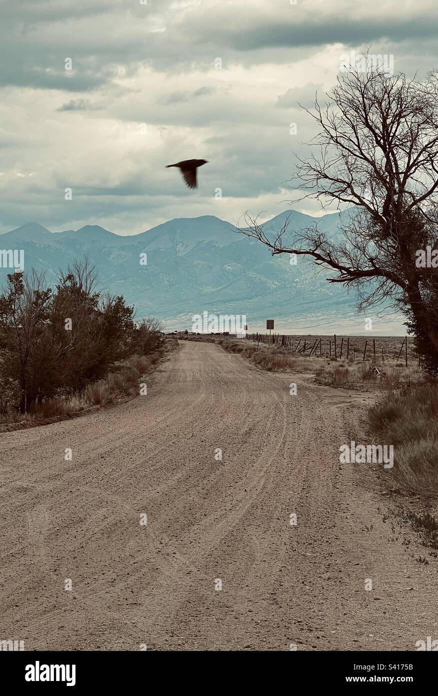 Bush ranch hi-res stock photography and images - Alamy