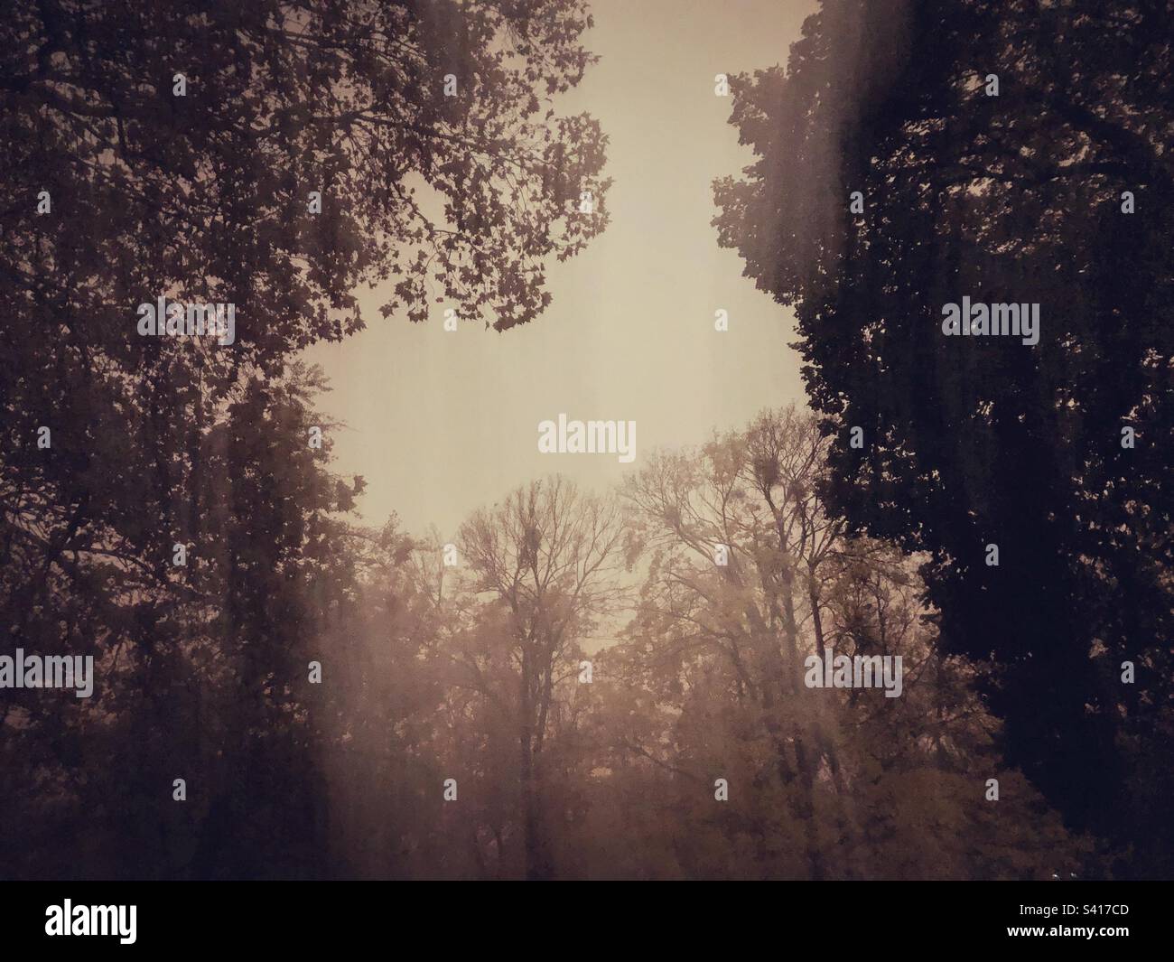 Magic land hi-res stock photography and images - Alamy