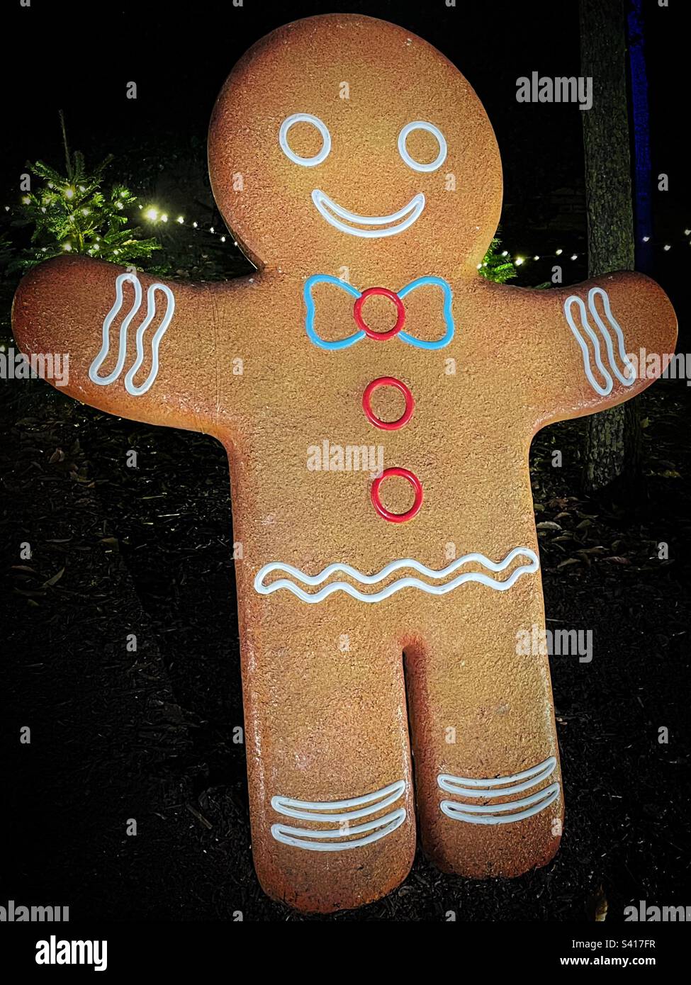 ‘Gingerbread Giant’ a life size Gingerbread Man lit up and on display ...