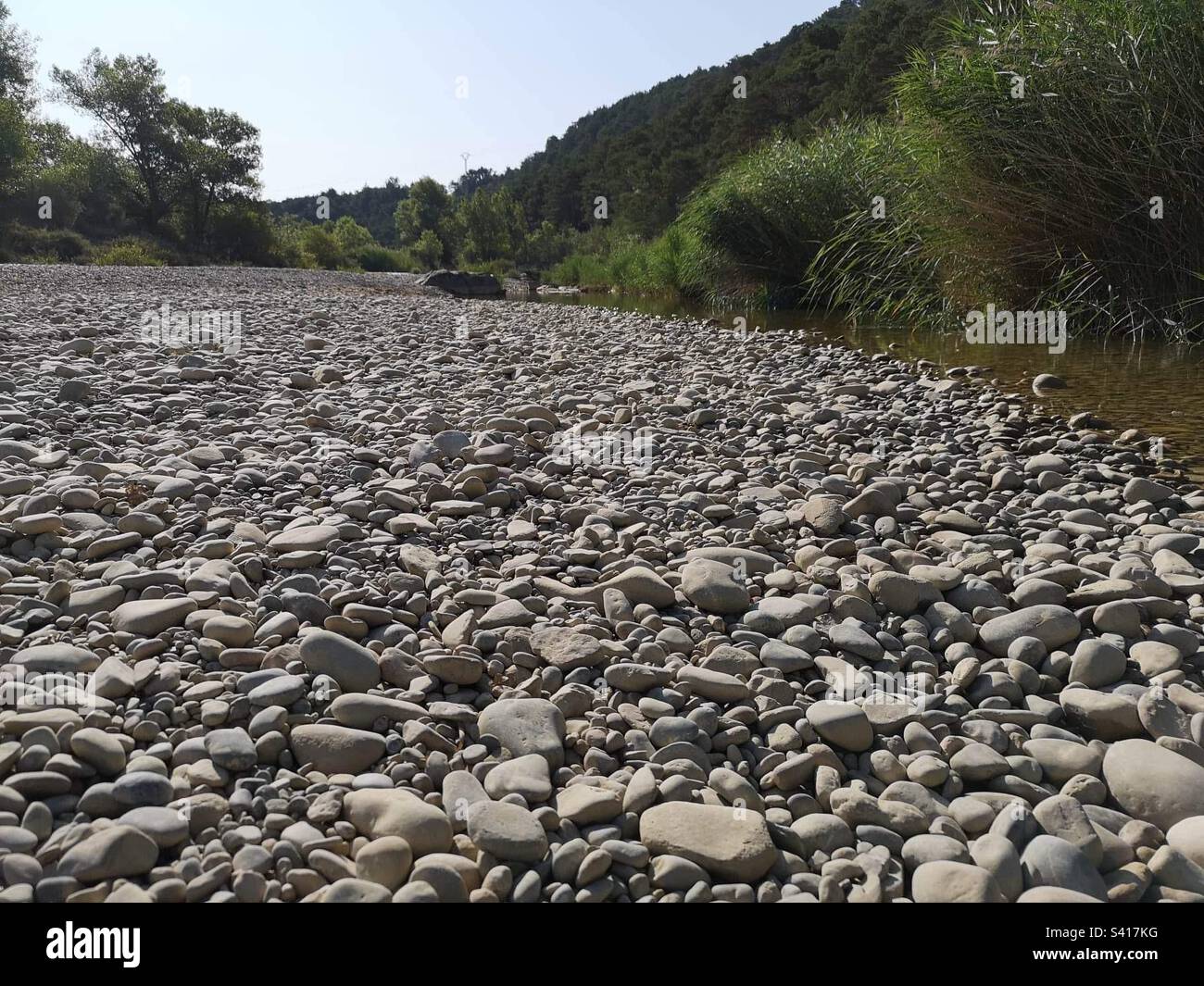 Dried up riverbed filled with stones and flanked by bushes and overhanging trees Stock Photo - Alamy