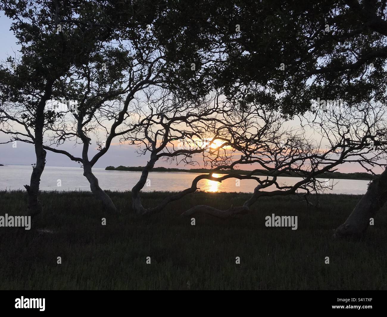 Black haze hi-res stock photography and images - Alamy