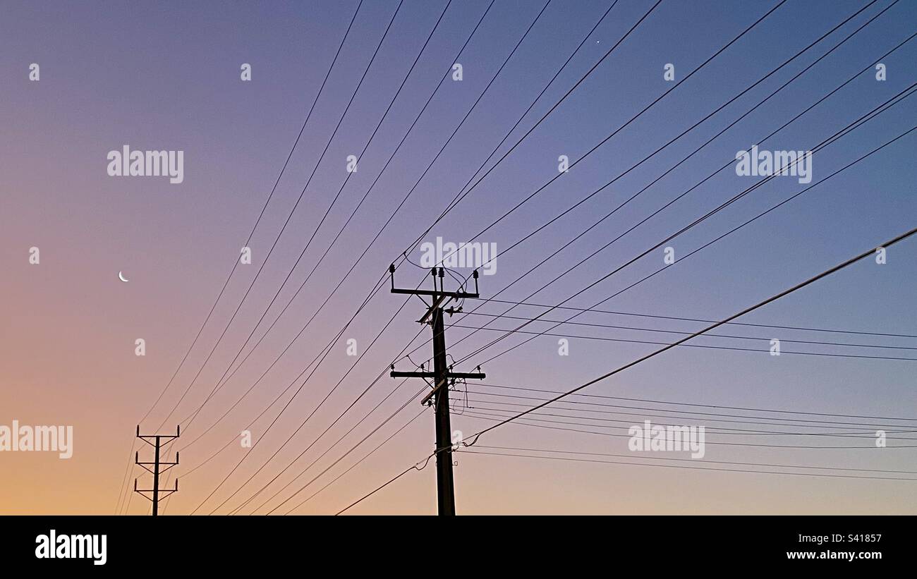 Telegraph poles at sunset Stock Photo - Alamy