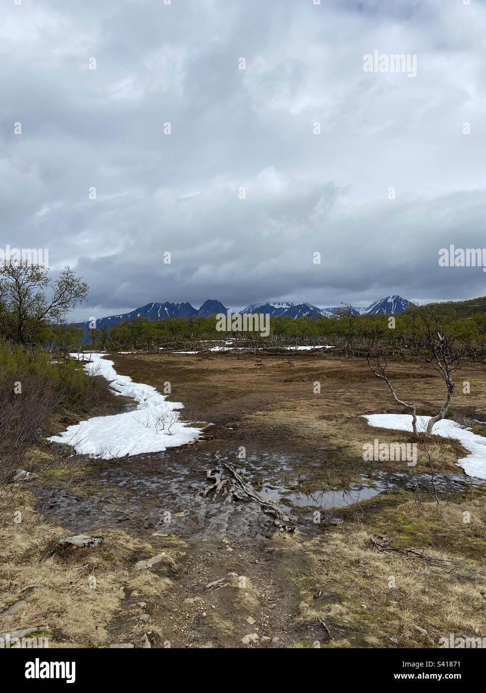 Going hiking in Lofoten islands, Norway. There is still some snow on ...