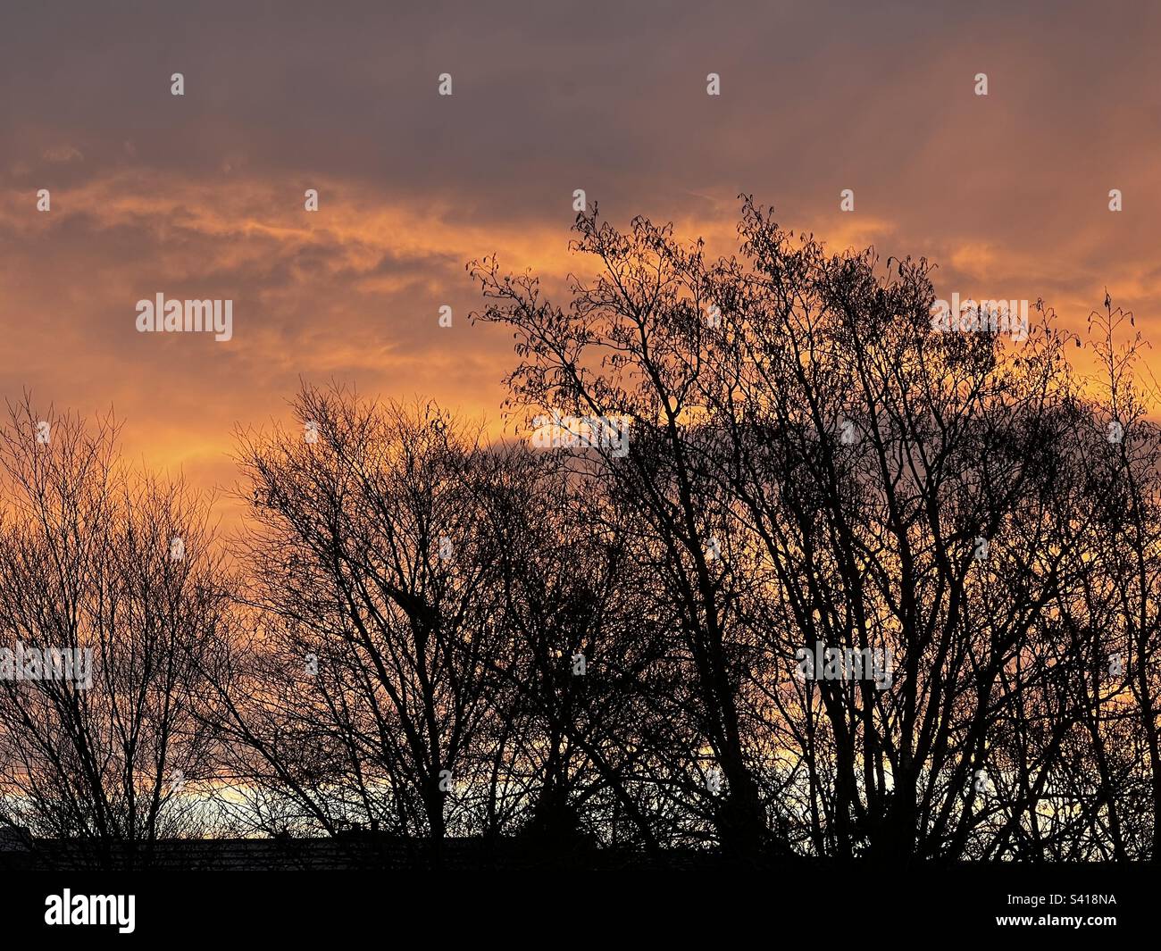 Red dawn sky hi-res stock photography and images - Alamy