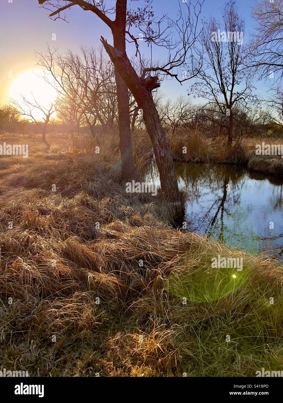 Abilene state park texas hi-res stock photography and images - Alamy