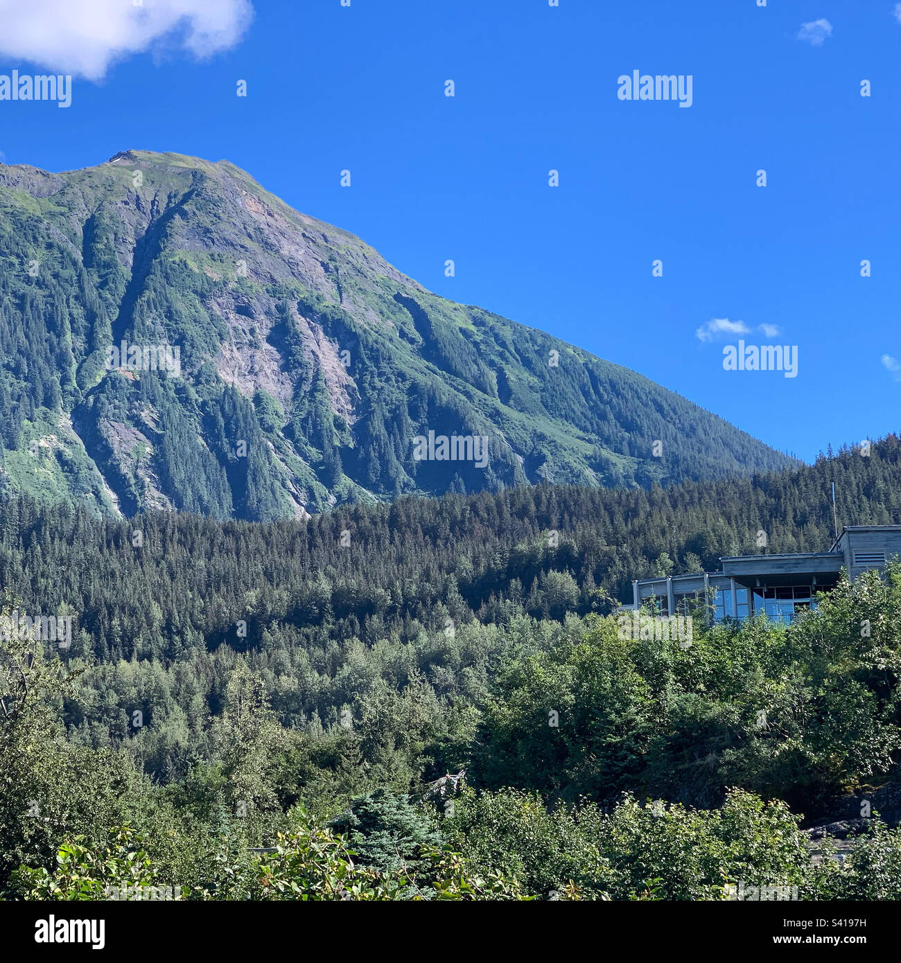 August, 2022, Mendenhall Glacier Recreation Area, Tongass National ...