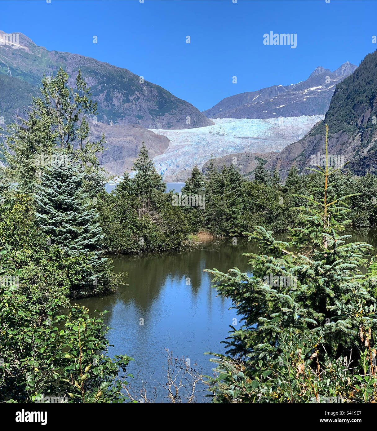August, 2022, Mendenhall Glacier, Tongass National Forest, Juneau ...