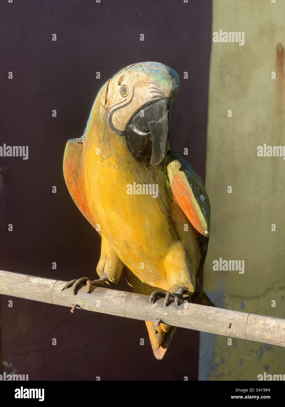 Fake parrot hi-res stock photography and images - Alamy