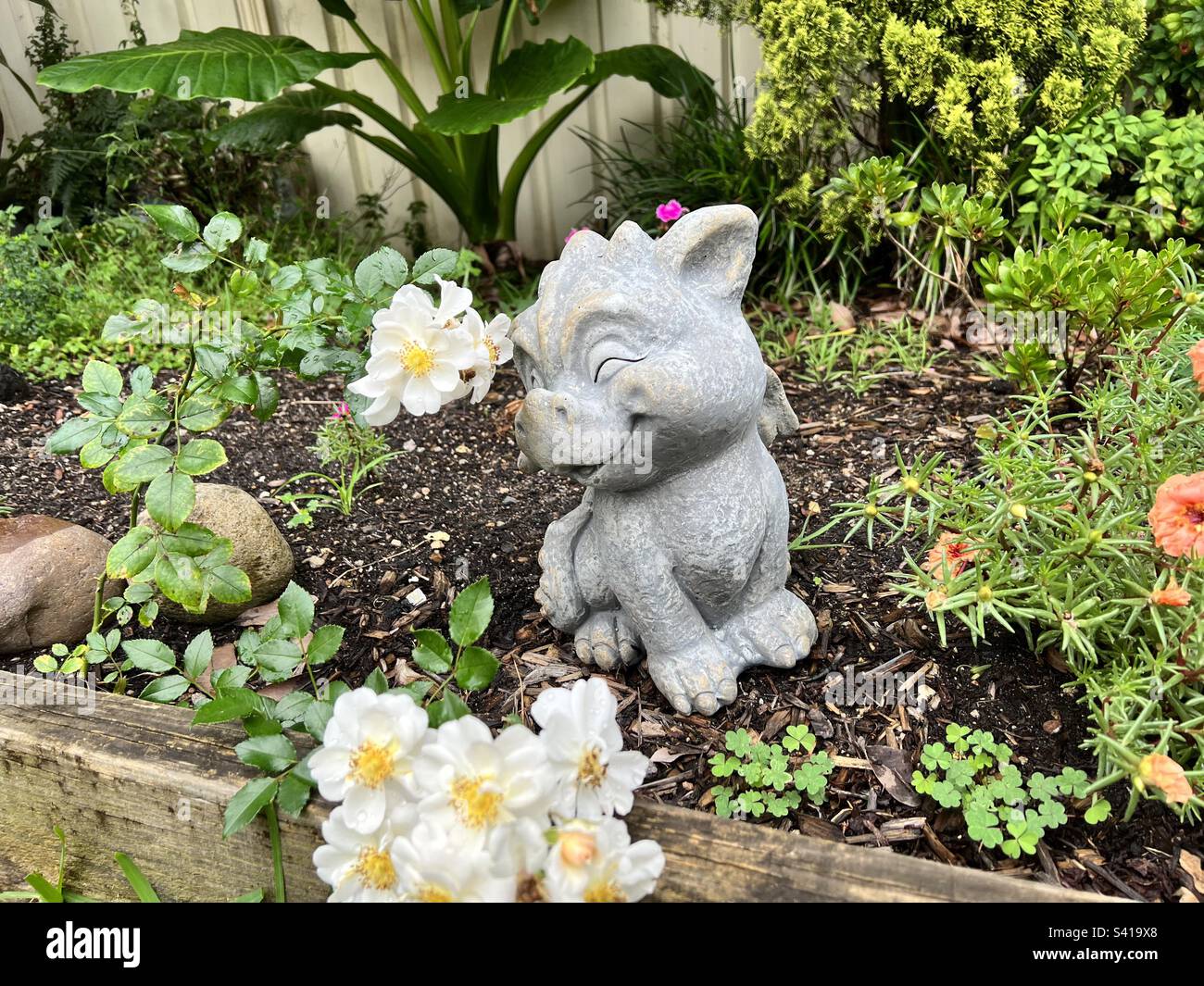 Dragon garden hi-res stock photography and images - Alamy