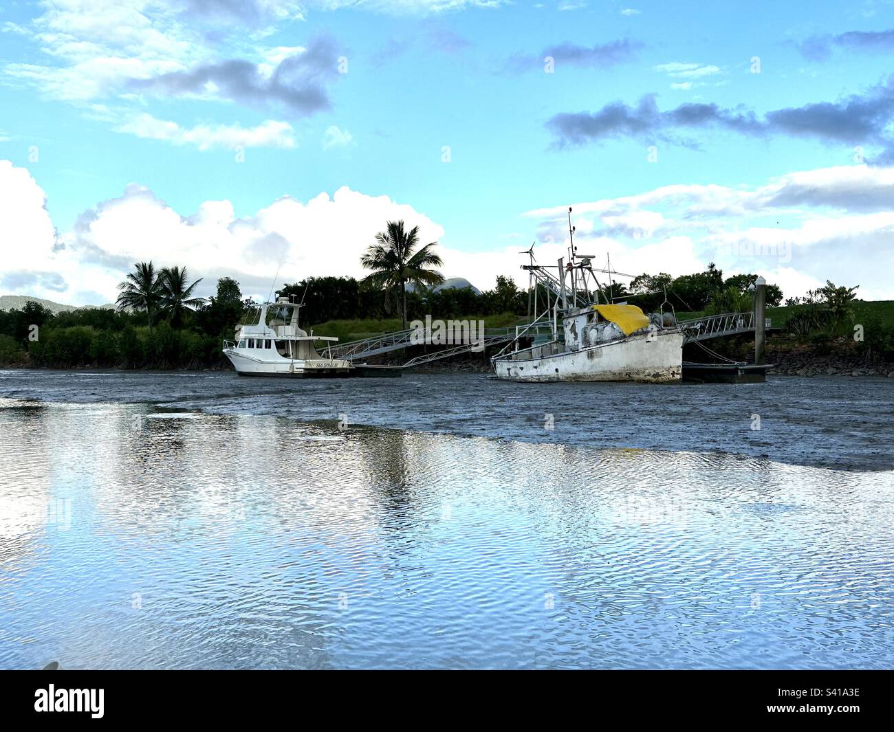 Boats stranded by the low tide in Cardwell Marina Stock Photo - Alamy